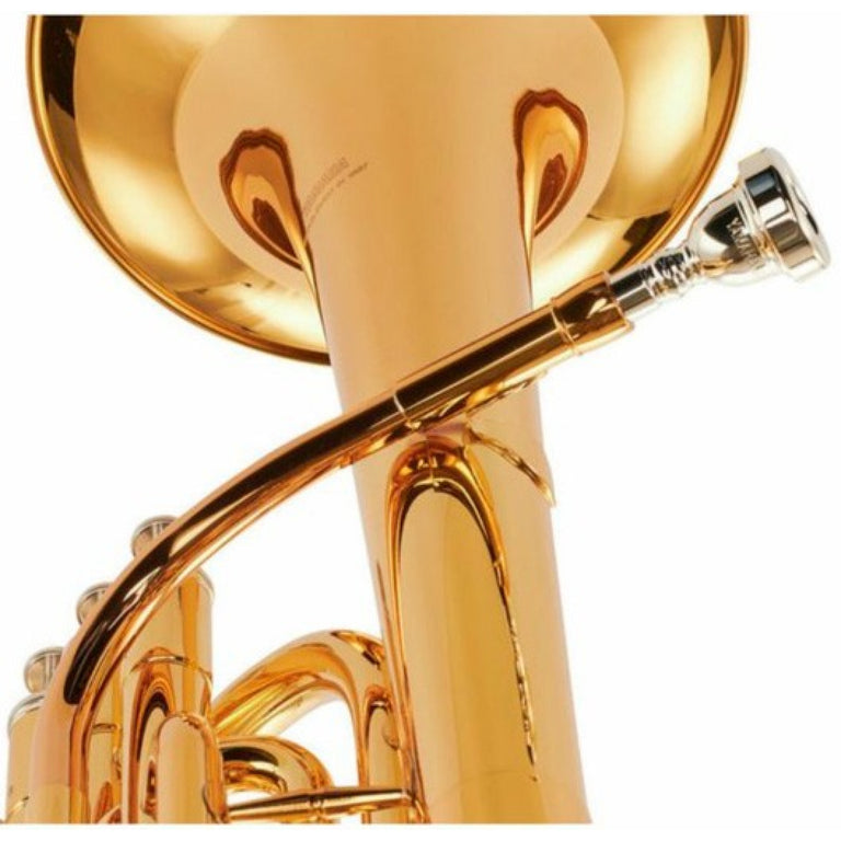 Saxores - Instrumentos Musicales – Musicales Doris